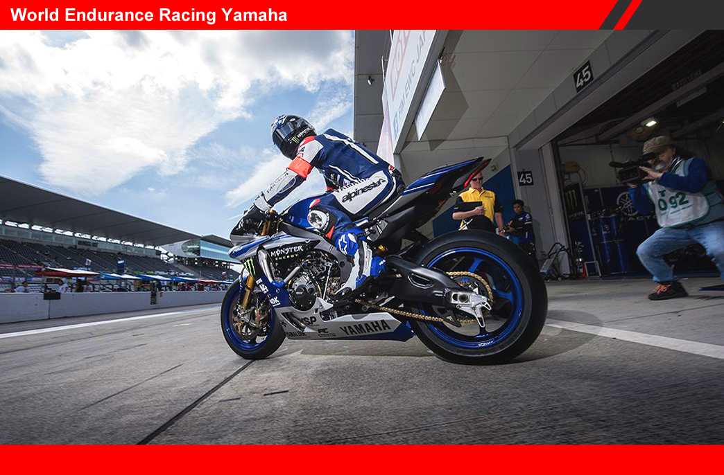 Translogic Products: Blip Assist Throttle Blipper