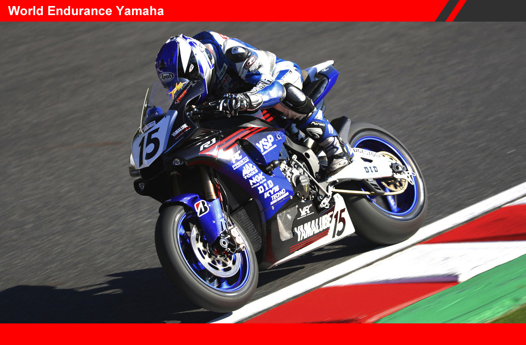 Translogic Products: Blip Assist Throttle Blipper